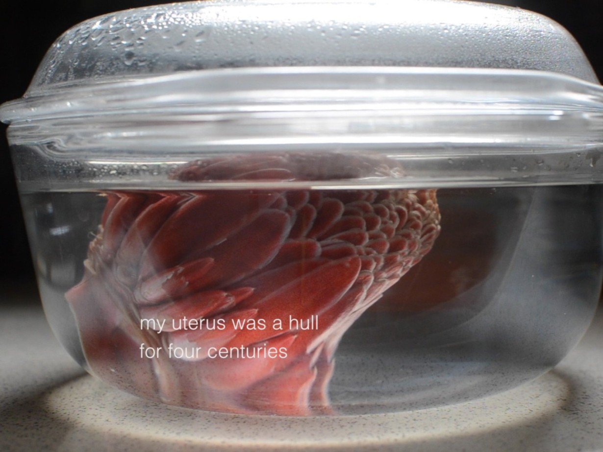 Editorial - Contemporânea